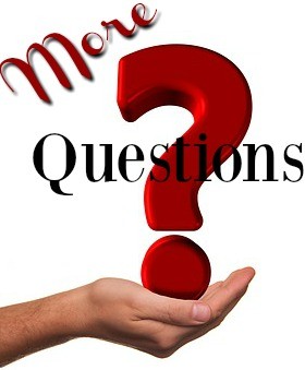 Questions, not Opinions - Hot Lunch Tray