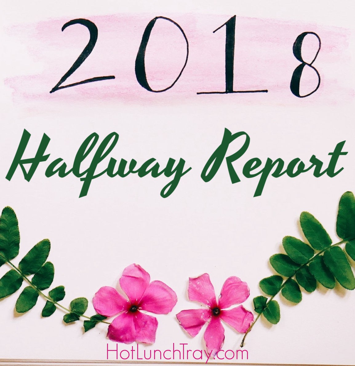 2018 Halfway Report - Hot Lunch Tray