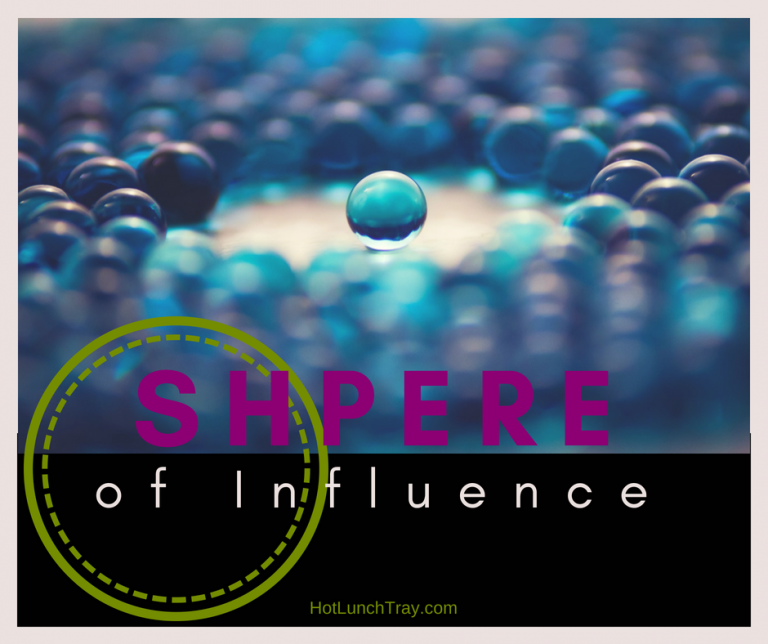 Sphere of Influence - Hot Lunch Tray
