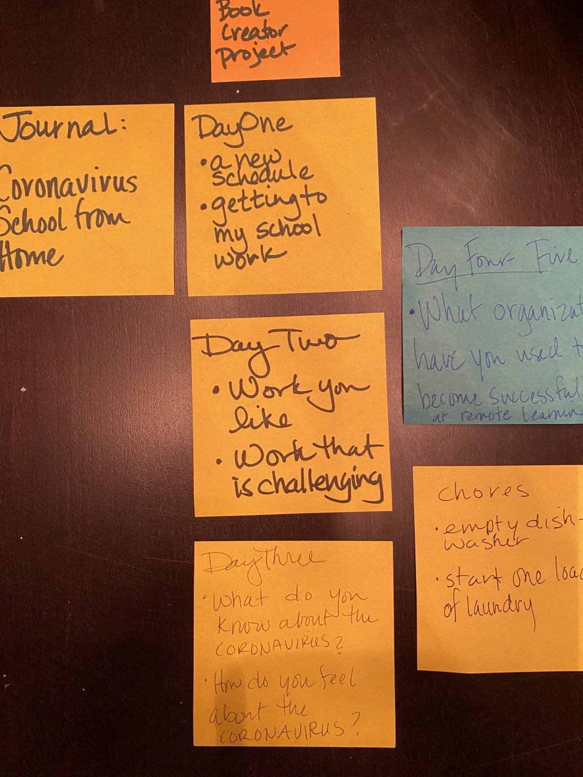 Coronavirus Student Journal - Hot Lunch Tray