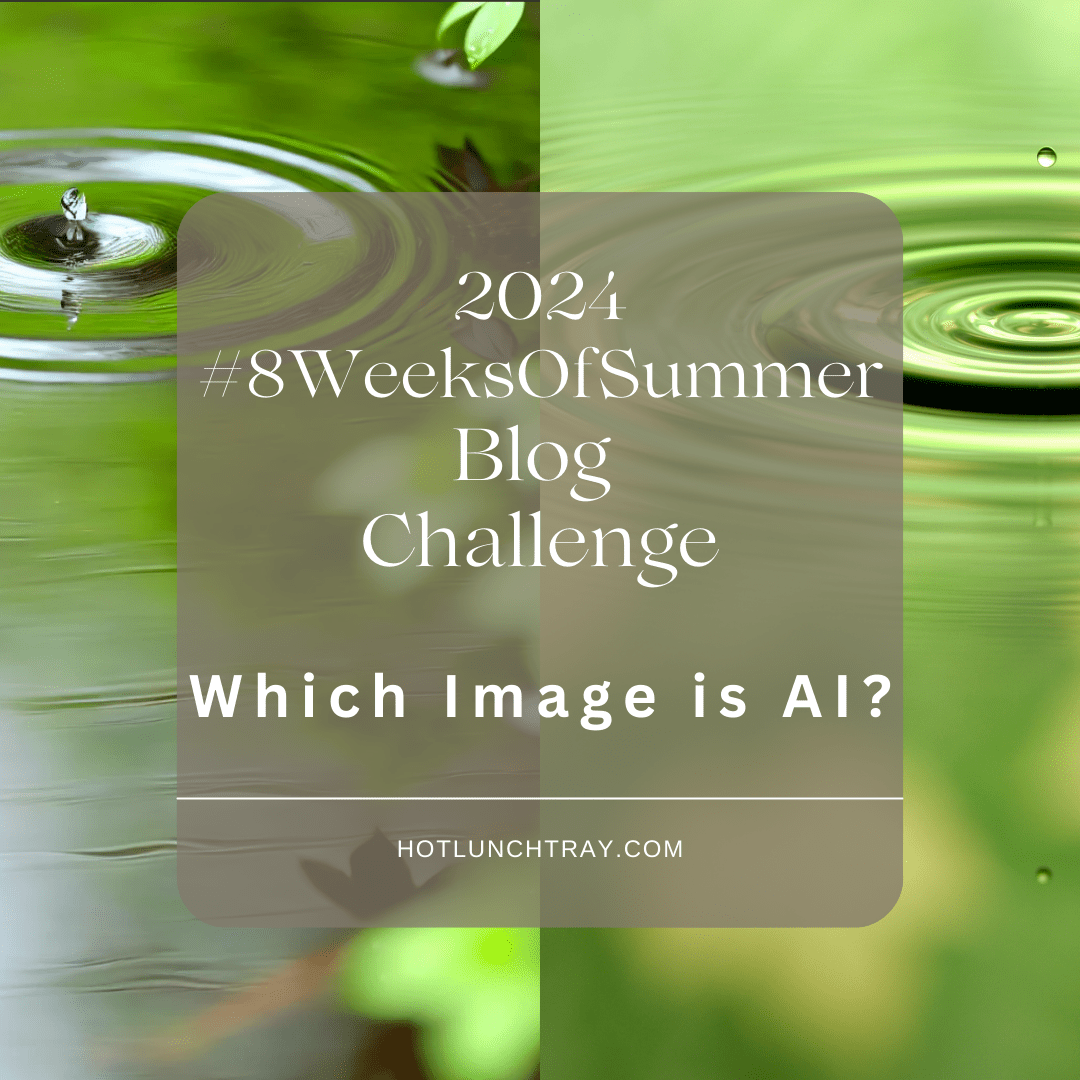 Week 5 #8weeksofsummer Blog Challenge 2024 - Hot Lunch Tray